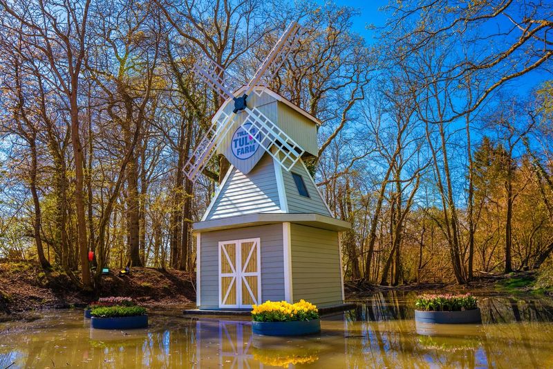 Whispering Windmill